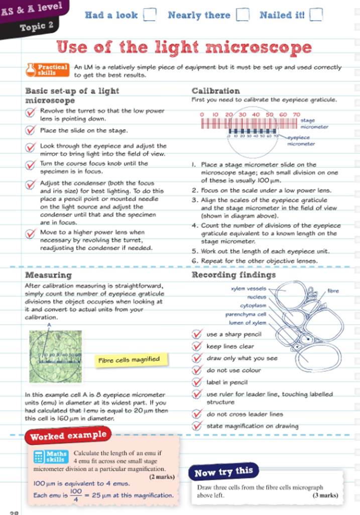 Microscopy simple revision guide — Gateways School