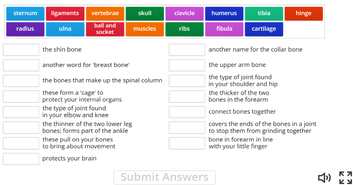 HW skeleton and joints wordwall — Gateways School